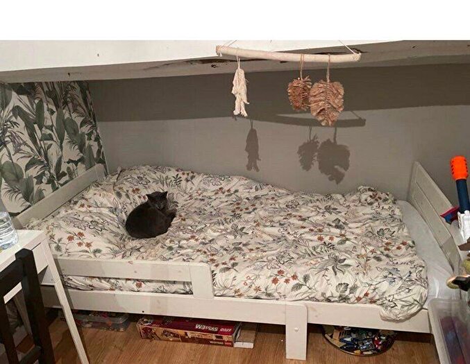 Appartement à louer - Mas-Grenier - 1 pièce