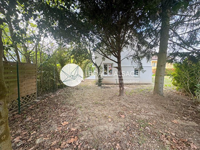 Appartement à louer - Strasbourg, Robertsau - 2 pièces - 1 chambre