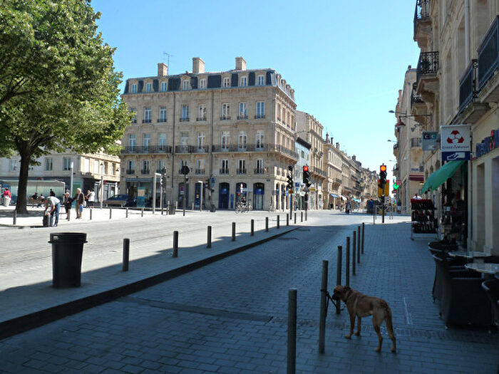 Bordeaux, Saint-Christoly : Appartement 1 pièce à louer