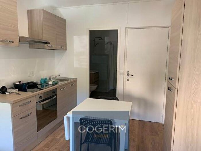 Appartement à louer - Les Chassagnes, La Mulatière - 1 pièce