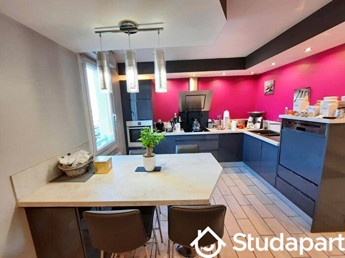 Appartement à louer - Lac de Maine-Molière, Angers - 1 pièce - 1 chambre