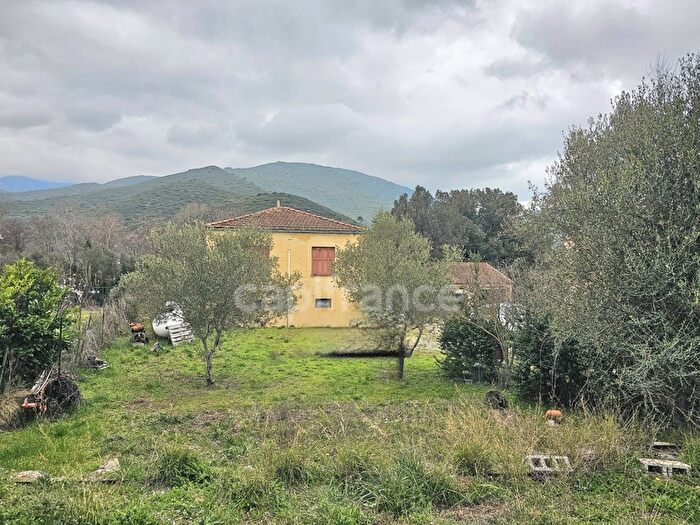 Maison à vendre - Omessa - 5 pièces - 4 chambres