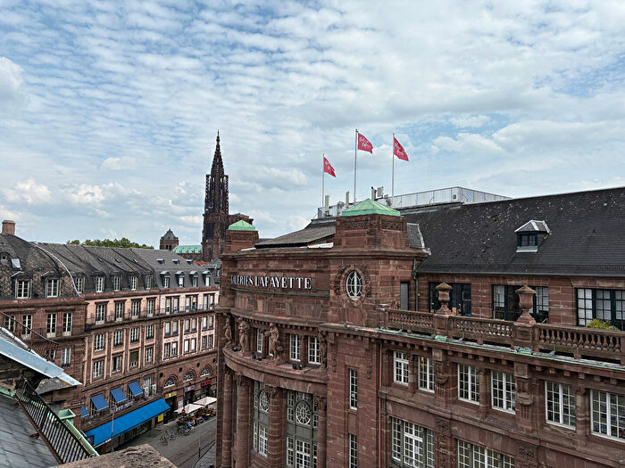 Appartement à vendre - Strasbourg, Petite France, Kléber - 3 pièces - 2 chambres