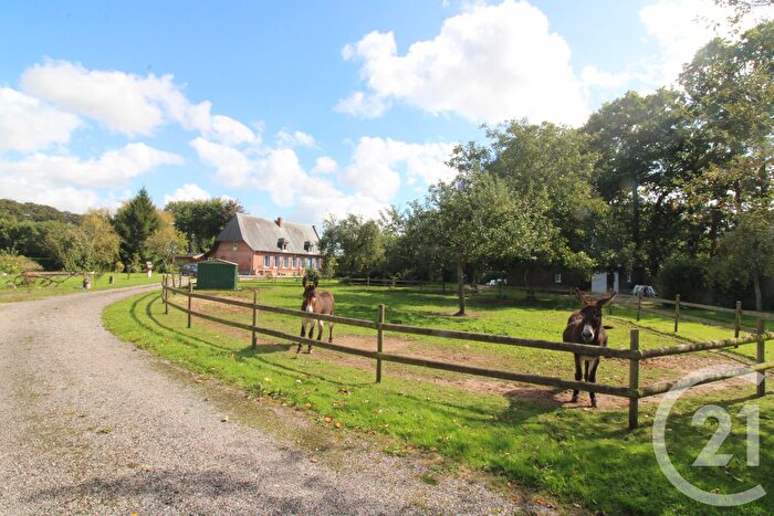 Maison à vendre - Ourville-en-Caux - 12 pièces - 6 chambres