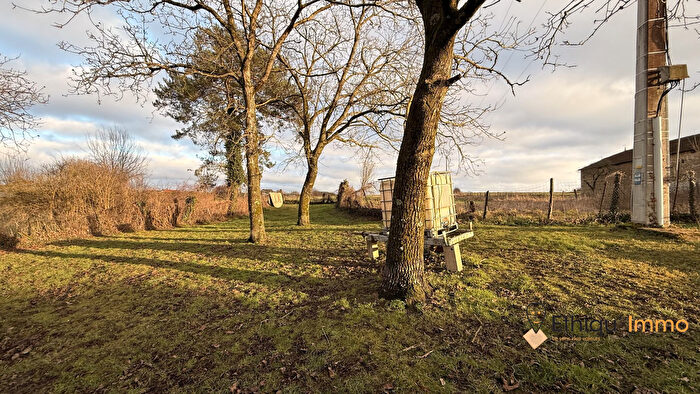 Maison à vendre - Mertrud - 4 pièces - 2 chambres