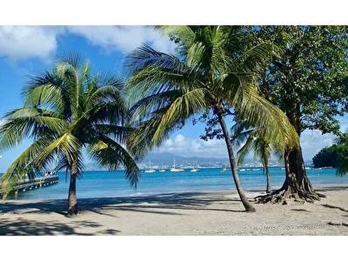 Appartement à vendre - Les Trois-Îlets - 1 pièce