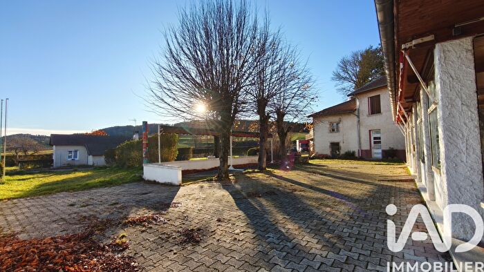 Maison à vendre - Saint-Georges-Lagricol - 14 pièces - 7 chambres