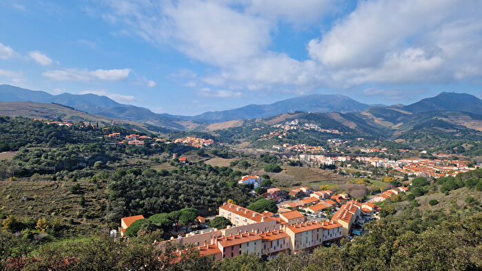 Appartement à vendre - Banyuls-sur-Mer - 3 pièces - 2 chambres