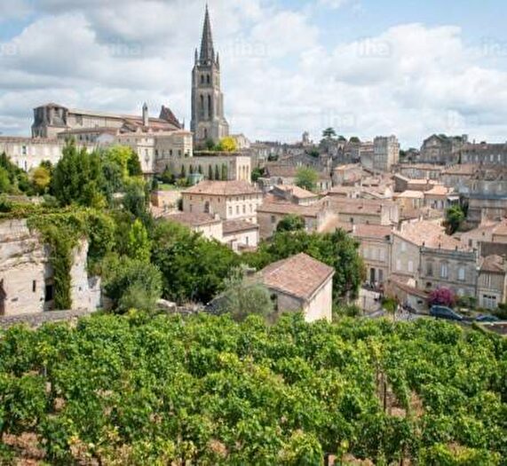 Appartement à louer - Le Taillan-Médoc - 2 pièces - 1 chambre