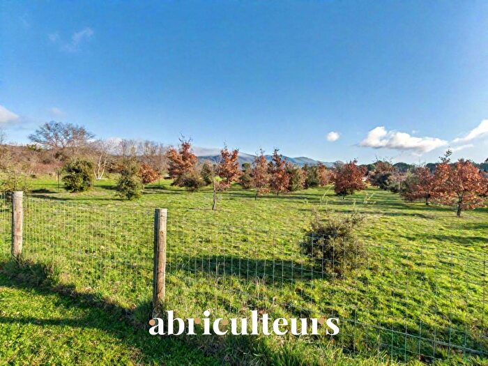 Maison à vendre - Puyvert - 5 pièces - 4 chambres