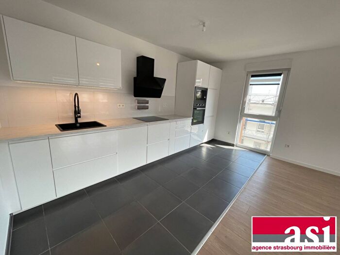 Appartement à louer - Metzgerhof-Hundshof-Schloessel Château Fia, Haguenau - 3 pièces - 2 chambres