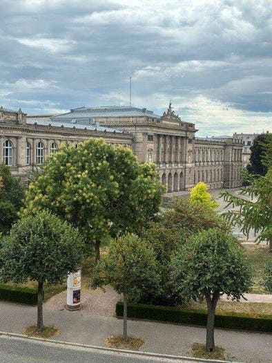 Forêt Noire Centre, Strasbourg - Appartement 6 pièces à louer