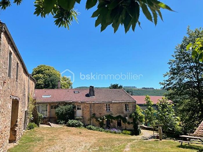 Ferrals-les-Montagnes - Maison 12 pièces à vendre