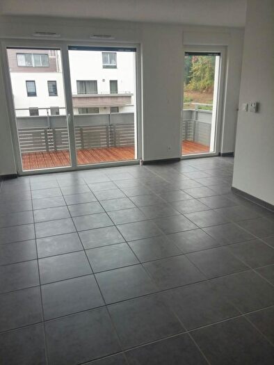 Appartement 3 pièces à Villers-lès-Nancy, Botanique, Village, à louer