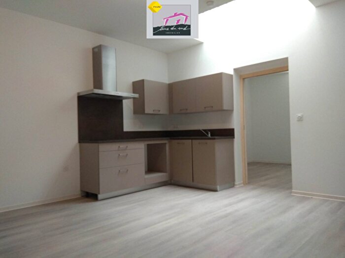 Appartement à louer - Lezignan Corbieres - 3 pièces - 2 chambres