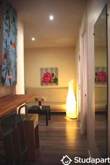 Berriat-Ampere, Grenoble : Appartement 1 pièce à louer
