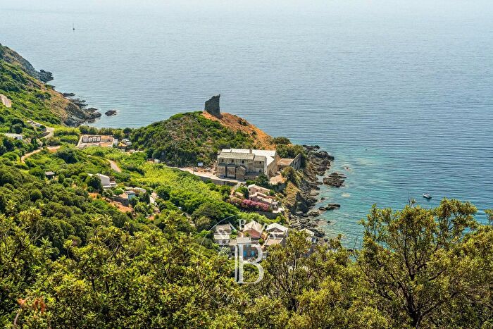 Maison à vendre - Pino - 7 pièces - 7 chambres