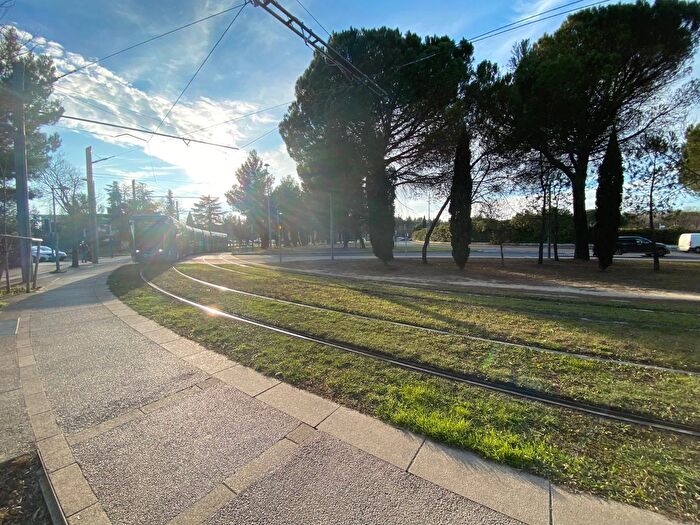 Appartement à louer - Montpellier, Hôpitaux, Facultés - 1 pièce