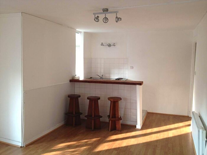 Appartement à louer - Grenoble - 1 pièce