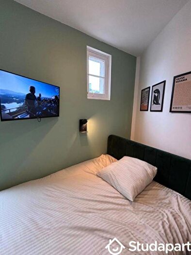 Appartement à louer - Gabrielle Leclerc, Charenton-le-Pont - 1 pièce