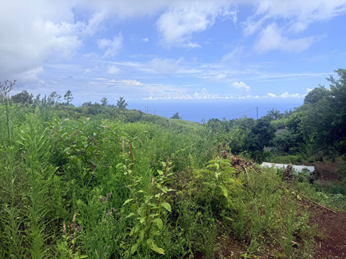 Maison à vendre - Petite-Île, Piton des Goyaves, Anse les Hauts - 3 pièces - 2 chambres