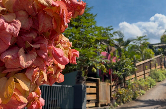 Maison à vendre - Entre-Deux - 7 pièces - 4 chambres