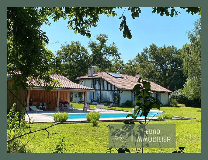 Maison à vendre - Luxey - 10 pièces - 8 chambres