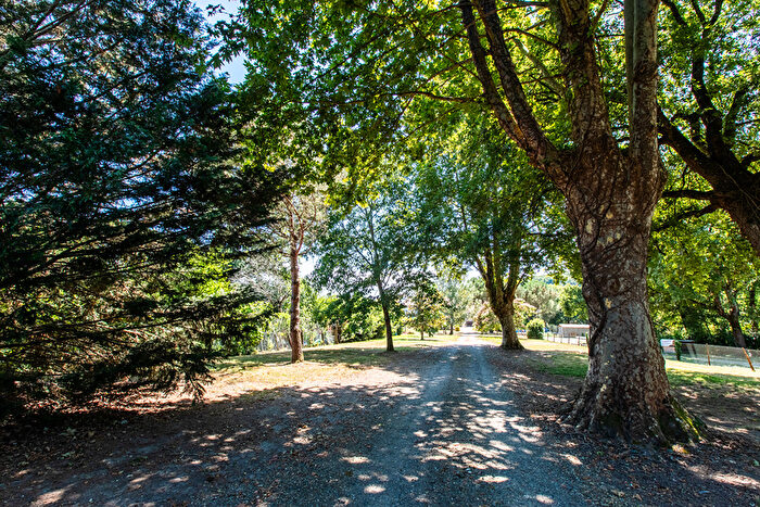 Maison à vendre - Aire-sur-lAdour - 7 pièces - 4 chambres