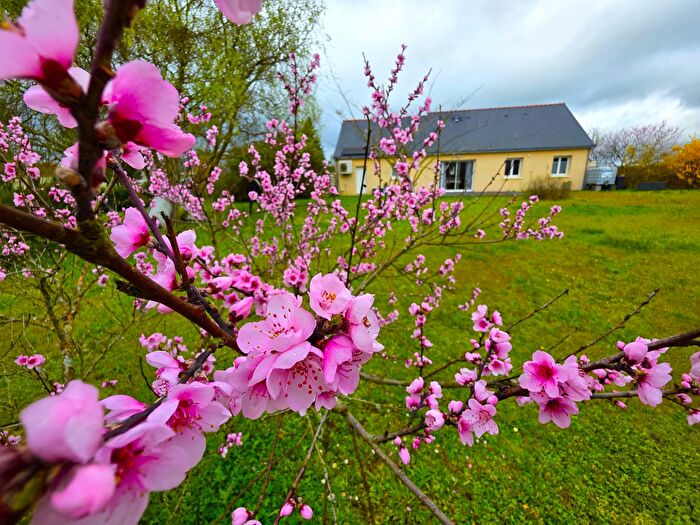 Maison à vendre - Baugé - 8 pièces - 6 chambres