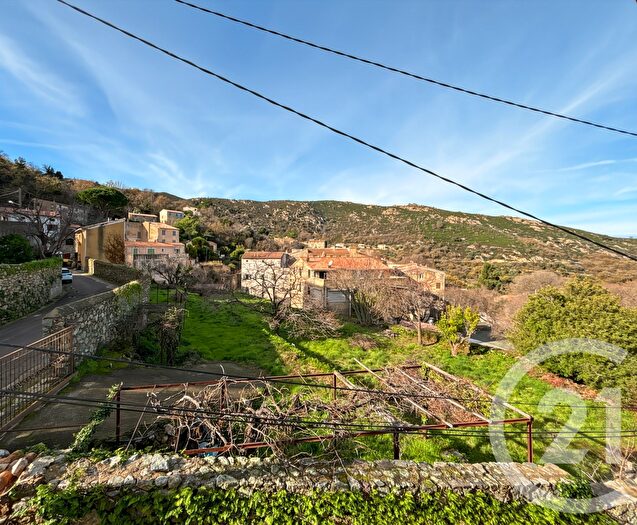 Maison à vendre - Feliceto - 6 pièces - 4 chambres