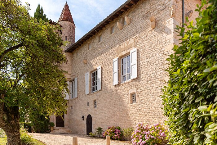 Albi - Maison 13 pièces à vendre