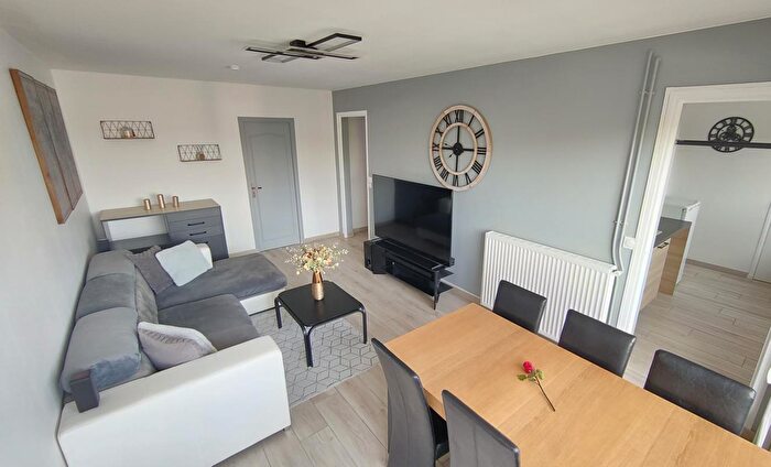 Appartement 3 pièces à louer à Saint-Jean-de-la-Ruelle, Trois Fontaines, Petite Espère, Clémenceau