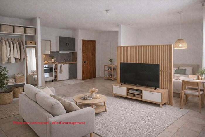 Appartement 1 pièce à louer - Vizille