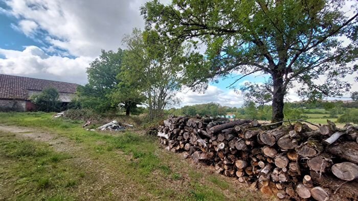 Maison à vendre - Puylaroque - 7 pièces - 4 chambres