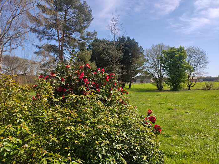 Maison à vendre - Lailly-en-Val - 11 pièces - 7 chambres