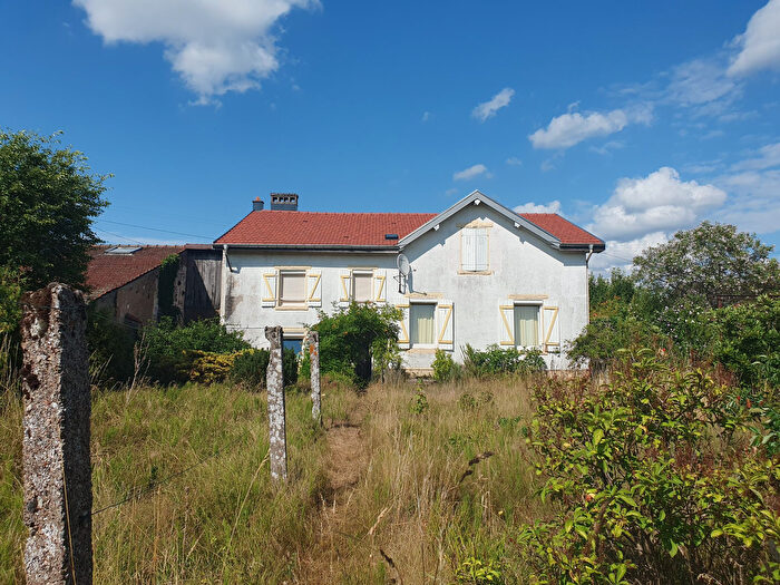 Thiaville-sur-Meurthe - Maison 7 pièces à vendre