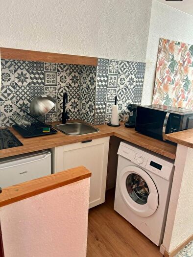 Appartement à louer - Toulouse, Busca, Jardin des plantes, Port Saint-Sauveur - 1 pièce