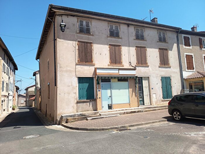 Maison 13 pièces à vendre - Romanèche-Thorins