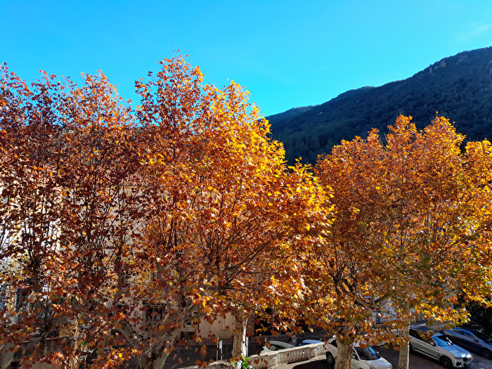 Appartement à vendre - Amélie-les-Bains-Palalda - 1 pièce