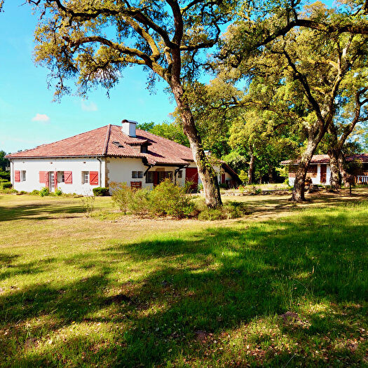 Maison à vendre - Soorts-Hossegor - 7 pièces - 5 chambres