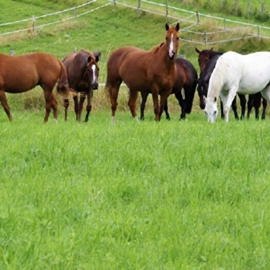 Maison à vendre - Malaincourt - 4 pièces - 3 chambres