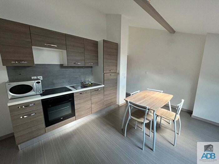 Appartement 1 pièce à louer à Roanne