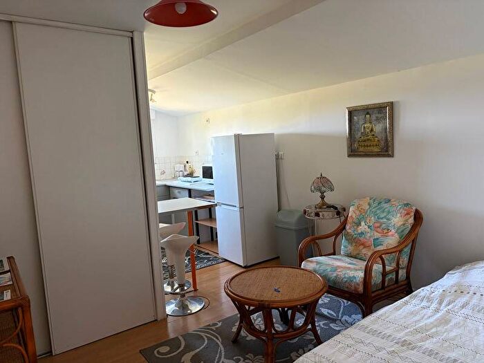 Appartement 1 pièce à Château-Guibert, à louer