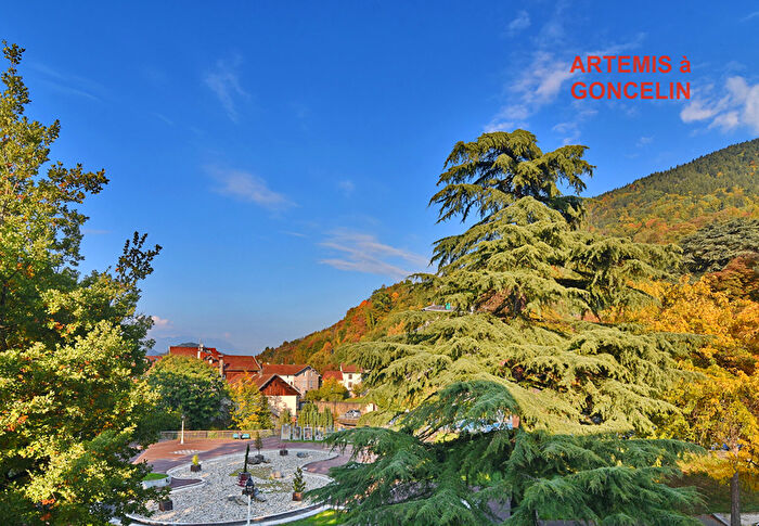 Appartement à vendre - Allevard - 3 pièces - 2 chambres