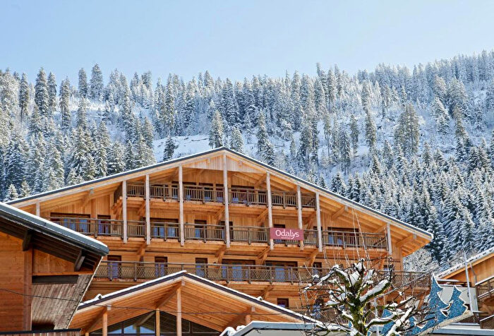 Châtel : Appartement 2 pièces à vendre