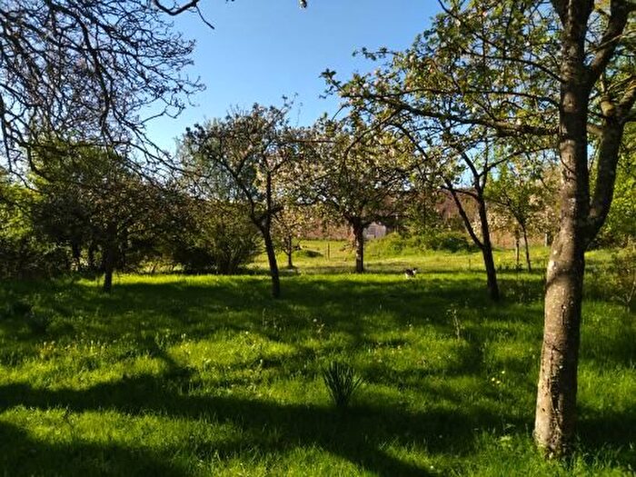 Maison à vendre - Neuvillalais - 3 pièces - 1 chambre