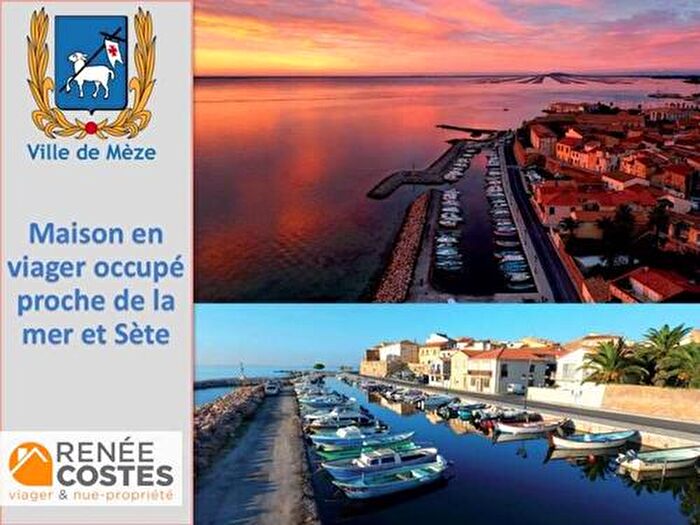 Maison à vendre - Mèze - 3 pièces - 2 chambres