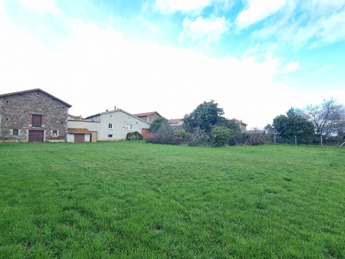 Maison à vendre - Saint-Martin-la-Plaine - 10 pièces - 2 chambres