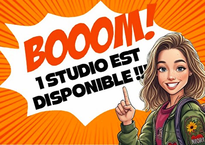 Appartement à louer - Niort, Champclairot, Goise, Champommier - 1 pièce