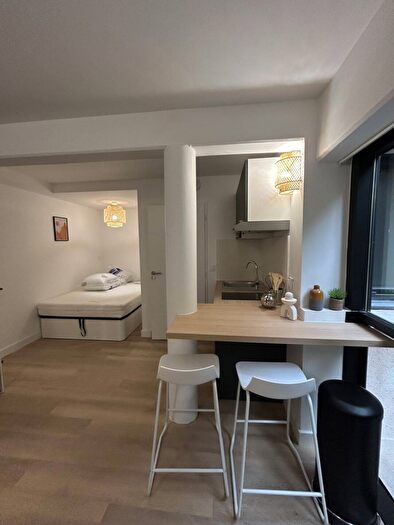 Côte Pavée, Toulouse - Appartement 1 pièce à louer